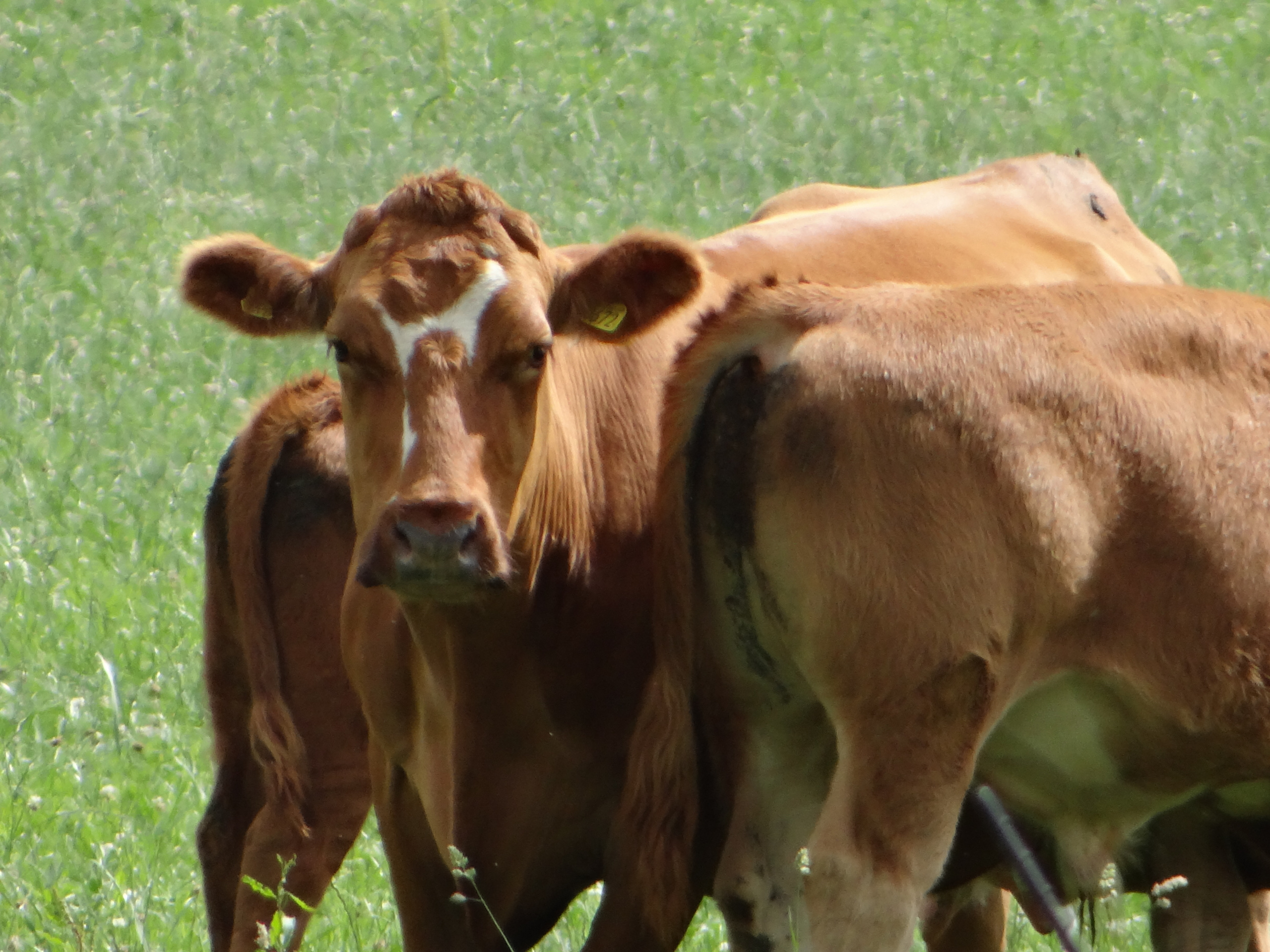 Nya utbildningar säkrar kompetensförsörjningen | Hörby.se